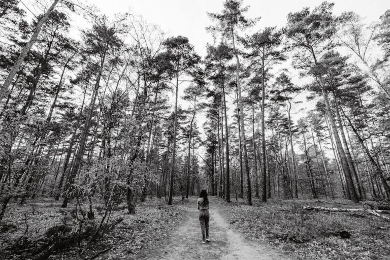 Sequim-web.net – All about Sequim, Washington